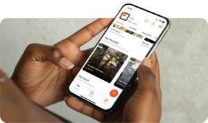 Niio Art - Experience Art Digitally - Niio Home