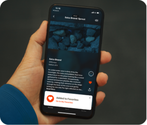 Niio Art - Experience Art Digitally - Niio Home